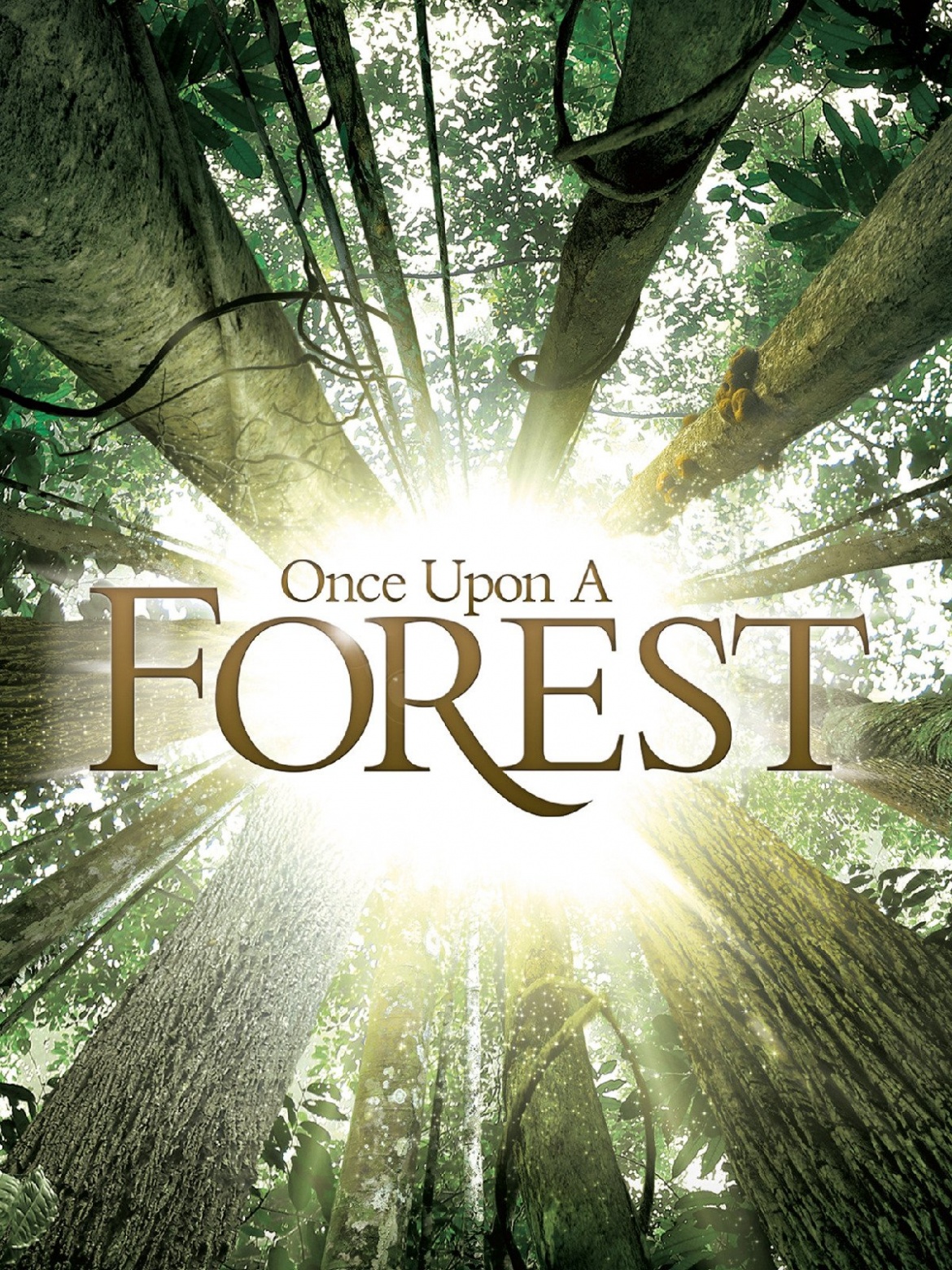 Icebreaker Studios: reconnecting Mankind with Nature